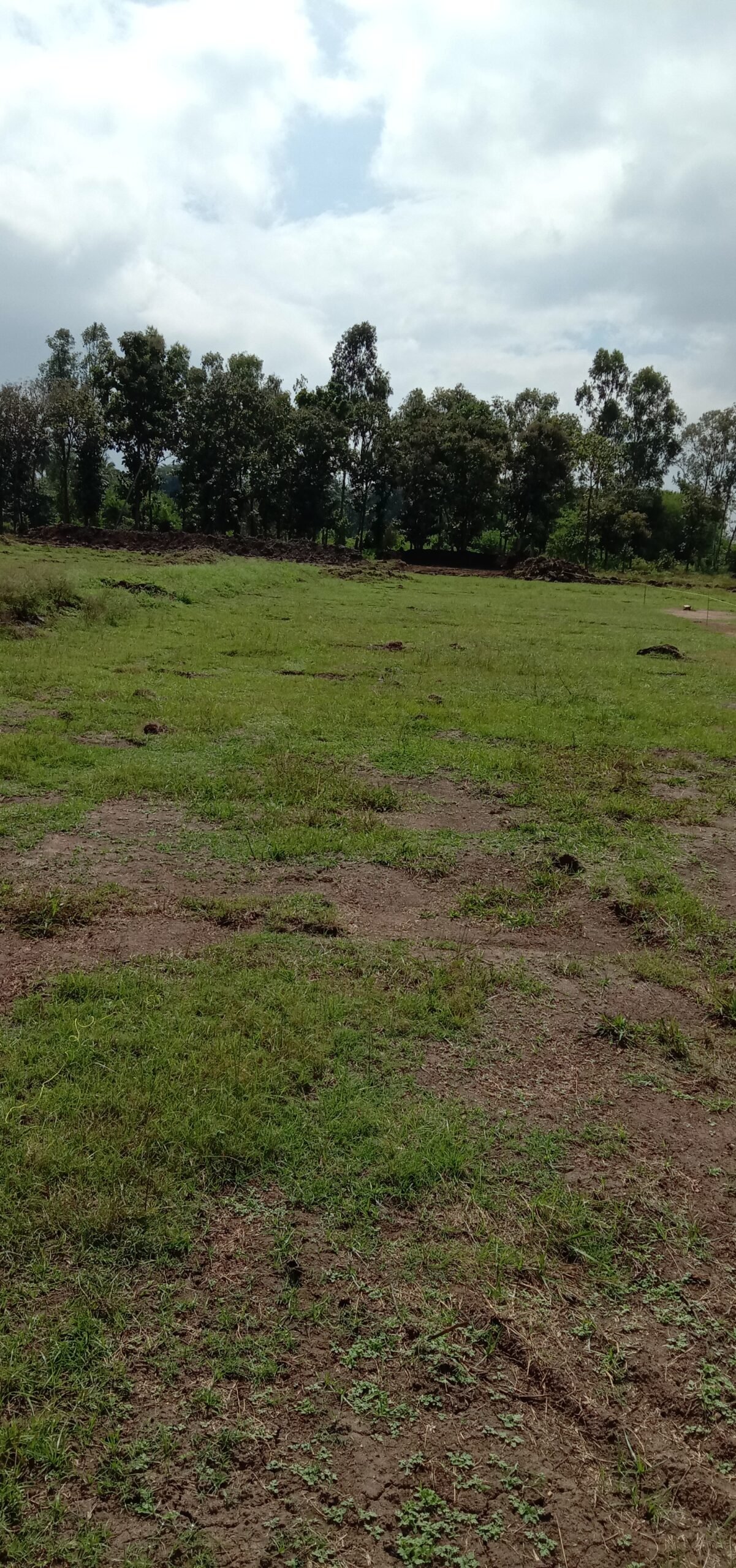 Patel Builders and Developers – Elegant and Affordable homes in Mysuru