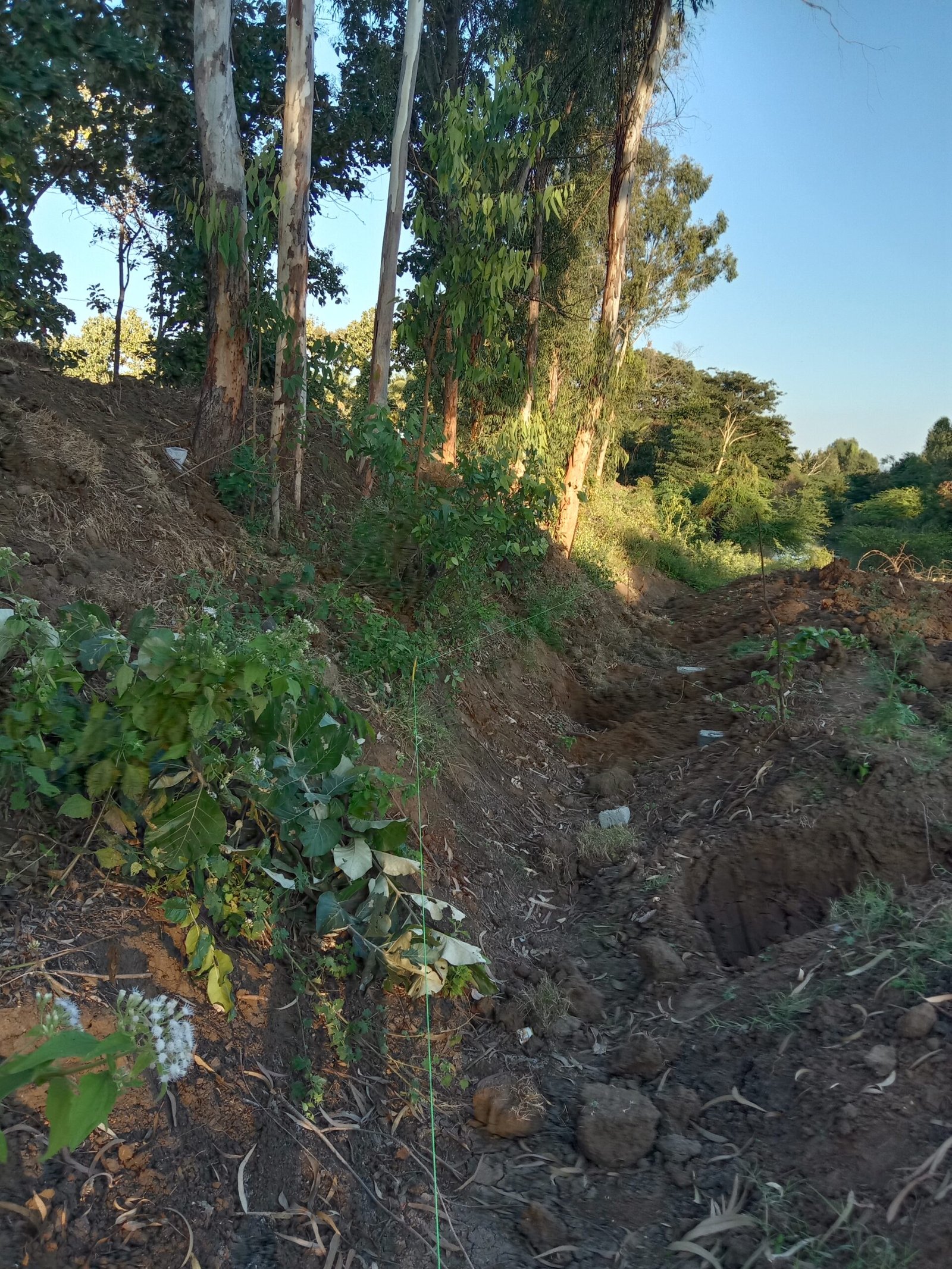 Patel Builders and Developers – Elegant and Affordable homes in Mysuru